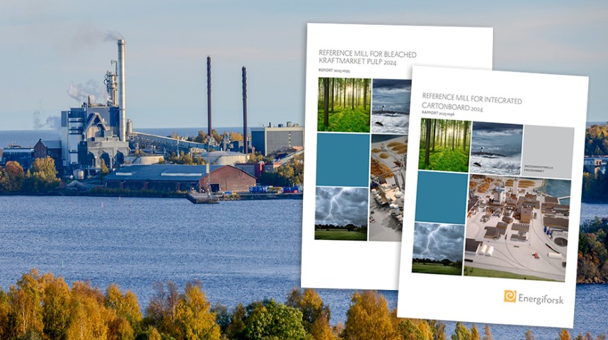 Fyra färgtrender 2026