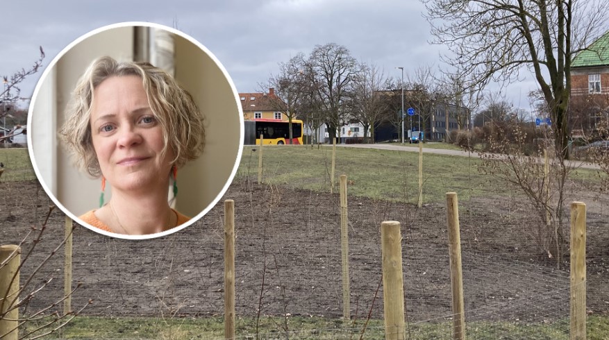 Planterar mikroskog i bostadsområde